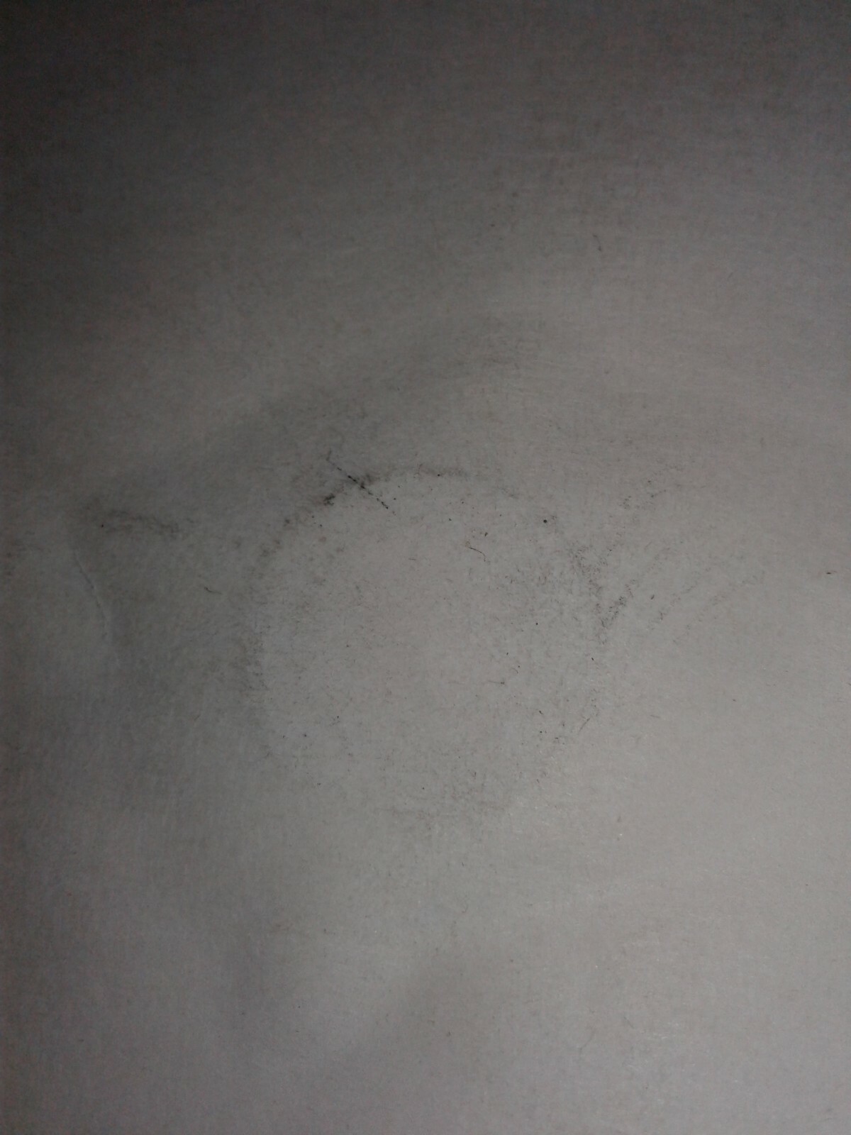 Set of 2- GENUINE FISHER 16A6082X012 PACKING BOX RING. 1/2 shaft /8 for ...