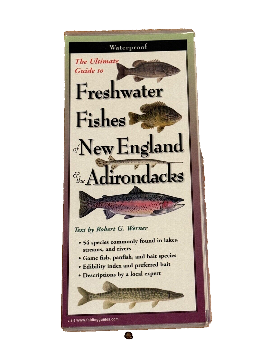 Freshwater Fish Chart The Guwahati Times Three New Freshwater Fish