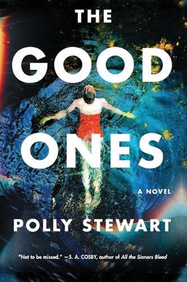 The Good Ones by Polly Stewart Paperback Book | eBay
