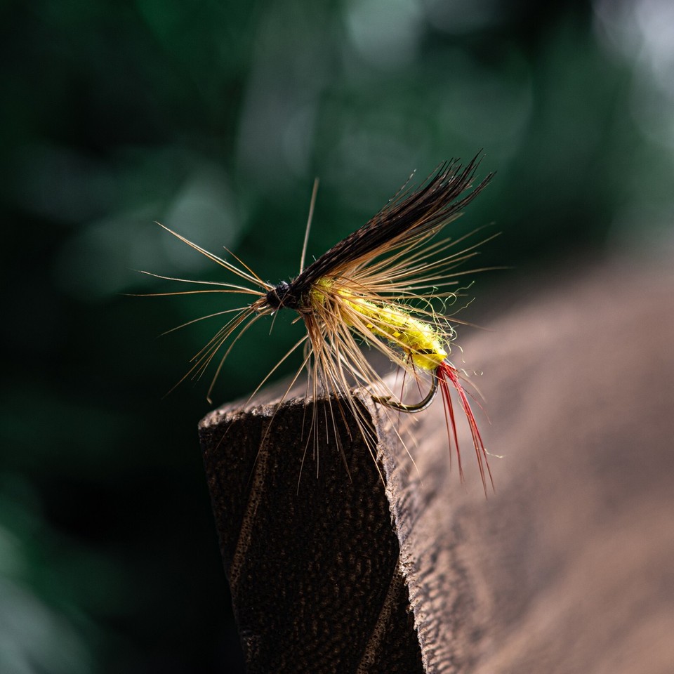 Goture 100pcs Fly Fishing Flies Kit Dry Flies Wet Flies Streamers Nymph ...
