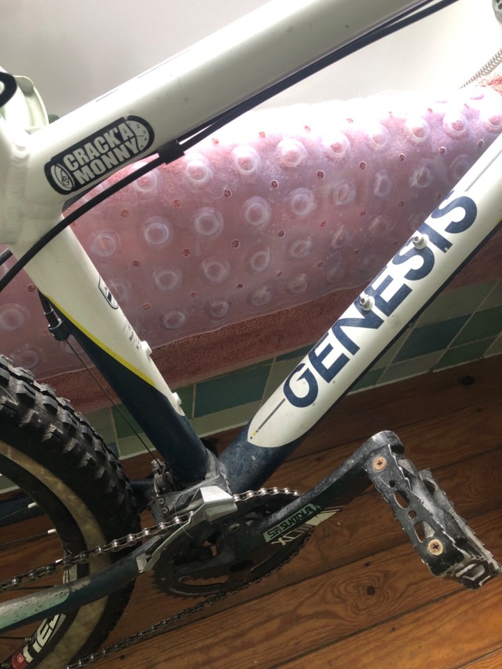 Genesis core 10, 2016 mountain bike, blue and white | eBay UK