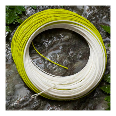 Wulff Triangle Taper Signature Plus Fly Line | eBay