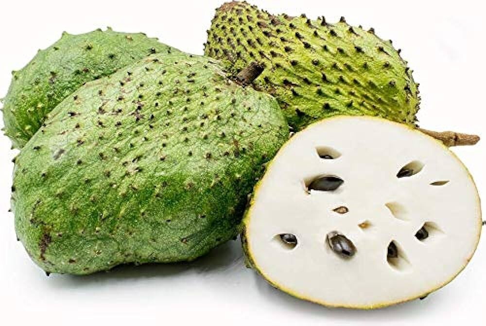 Anona Soursop Graviola Guanabana Anoda Tea Snack Dried Fruit Strips | eBay