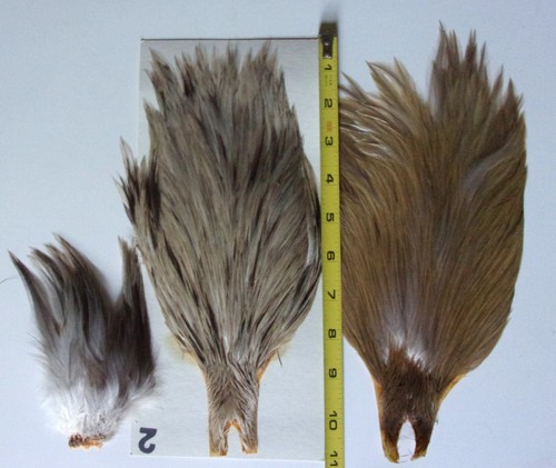 3 Hackles for fly tying - lot 1 | eBay