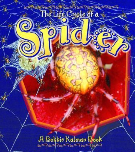 Life Cycle of a Spider, Library by Kalman, Bobbie; Smithyman, Kathryn ...