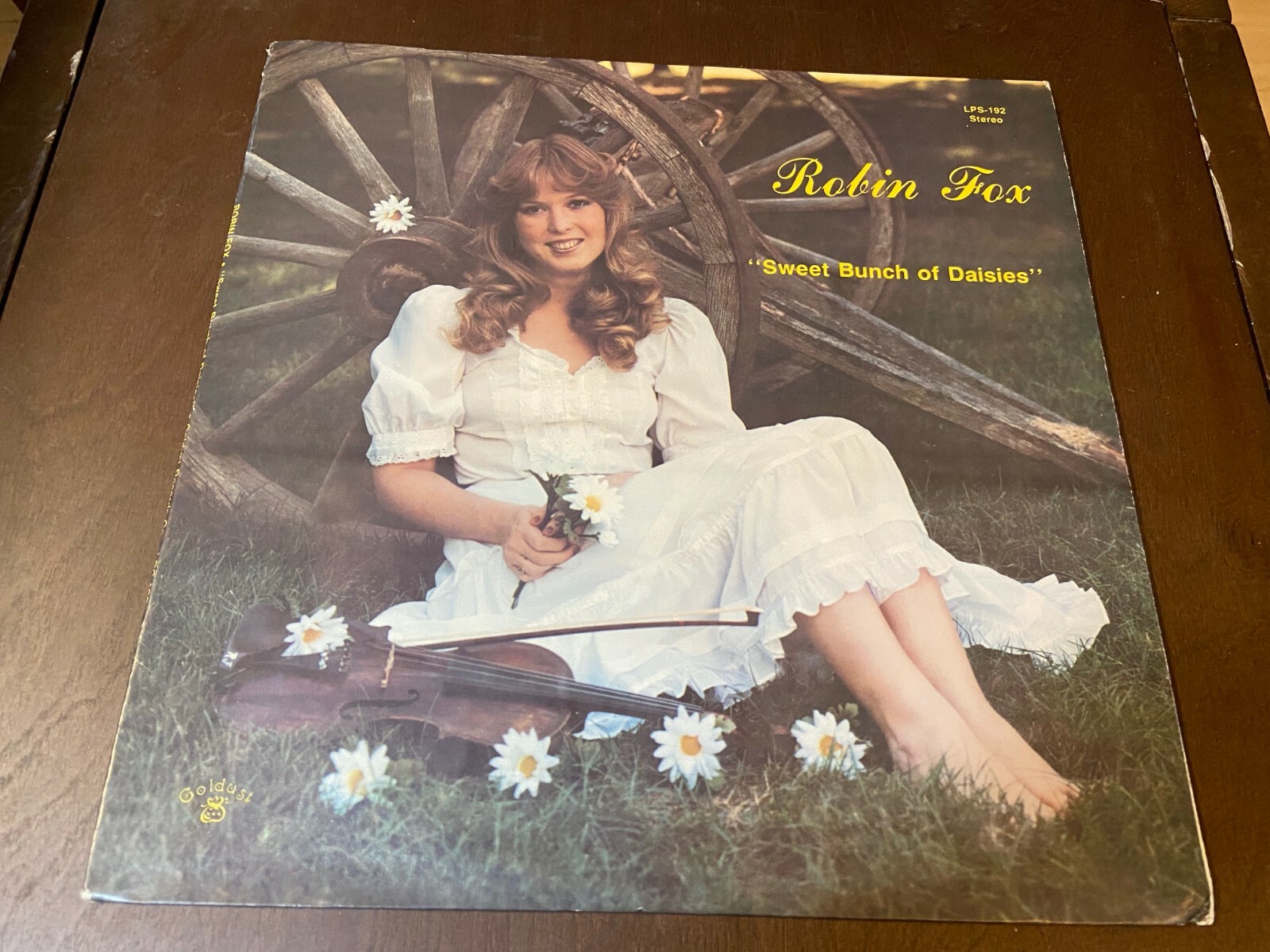Robin Fox~Sweet Bunch of Daisies~VG++Private Folk Country LP~1983~FAST ...