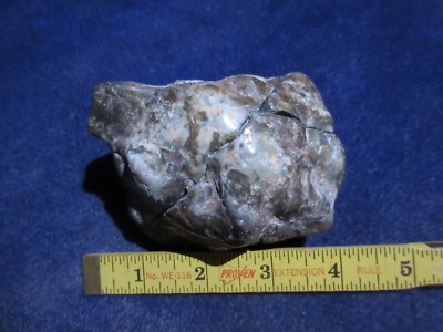 COPROLITE - POLISHED DINOSAUR POO from WYOMING! - GEM QUALITY - GRADE A ...