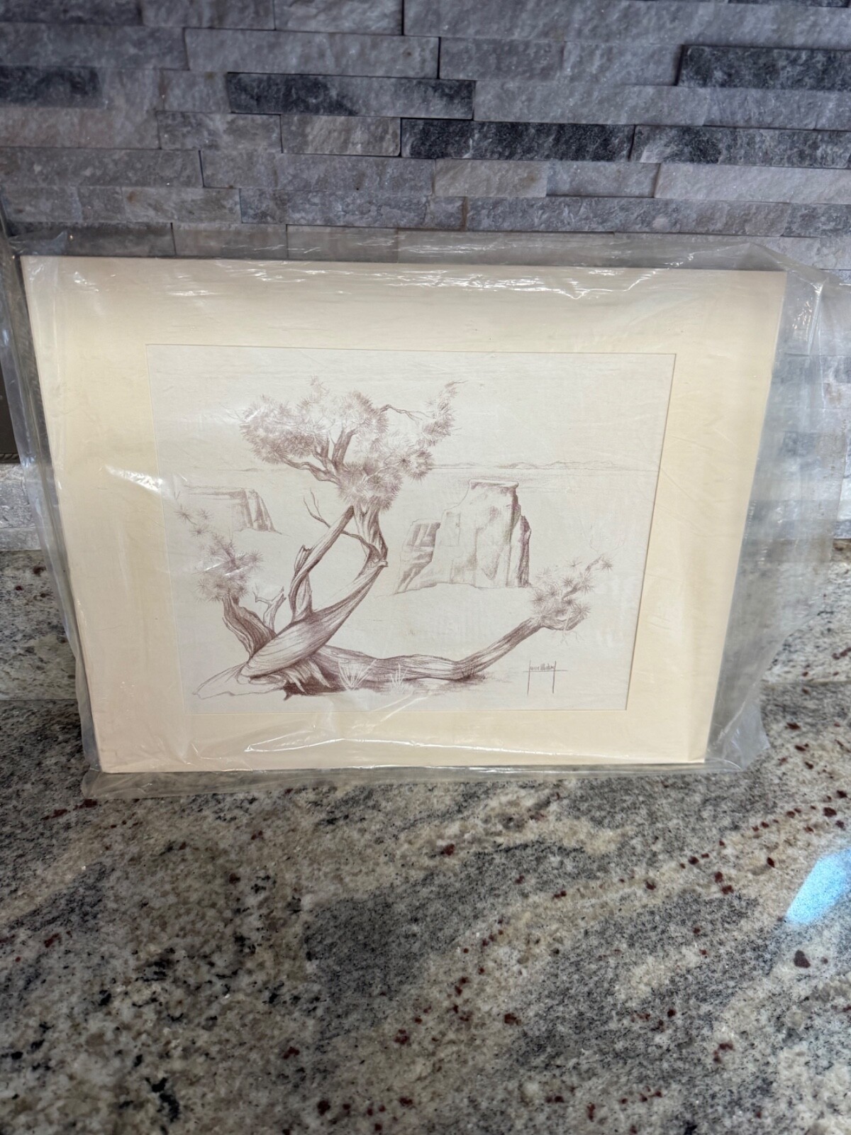 Jane Mabry Print 11x14 Native Art | eBay