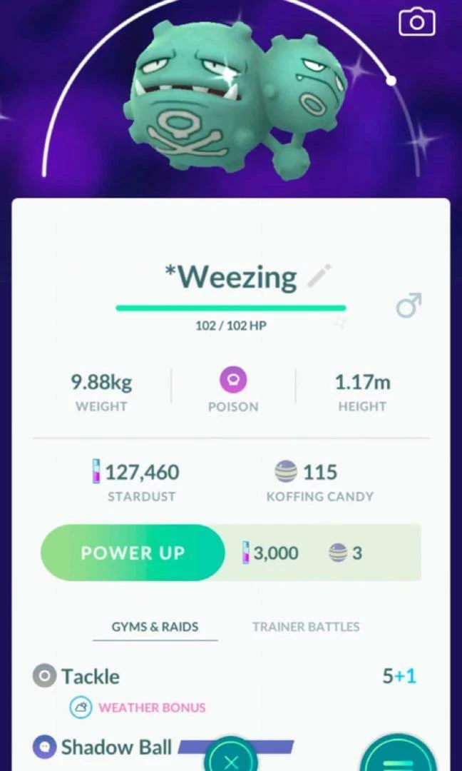 Shiny Weezing