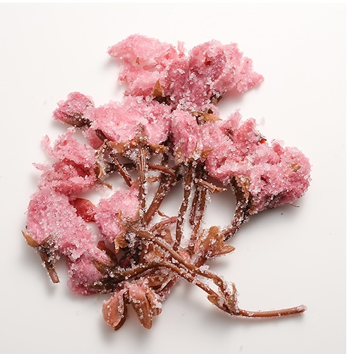 1 x pack Salted Sakura Flowers - Japanese Cherry Blossom Tea - Made in ...