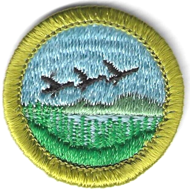 BSA FISH & WILDLIFE MANAGEMENT MERIT BADGE TYPE H PLASTIC BACK #2 GREEN ...