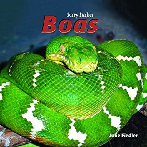 Boas Library Binding Julie Fiedler 9781404238367| eBay