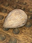 Rare Early Vintage Stone Marble Nut Italian Alabaster Nut Realistic ...