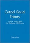 Critical Social Theory: Culture, History, and the Challenge of ...