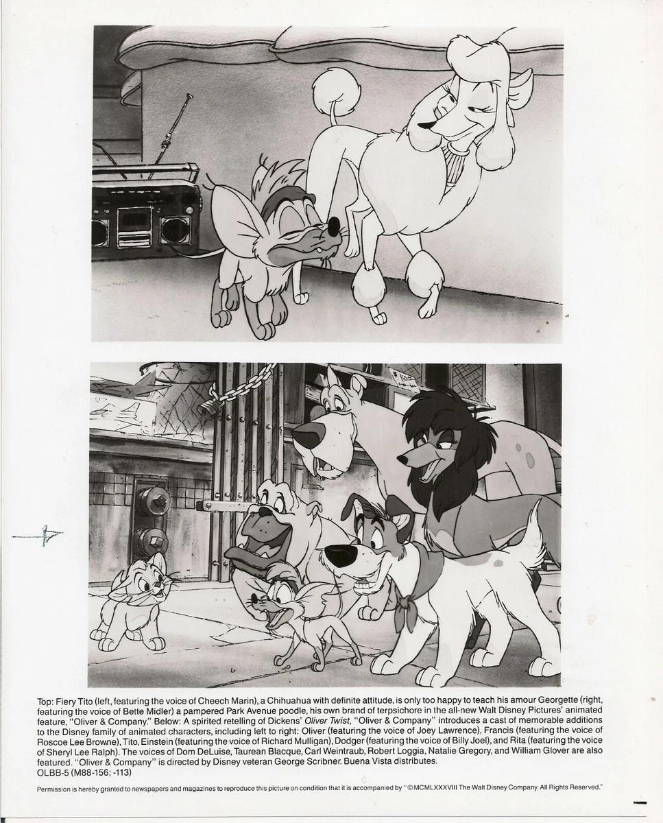 Oliver And Company Georgette Drawing