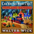 Can You See What I See? TOYLAND EXPRESS by Walter Wick 9780545244831 | eBay