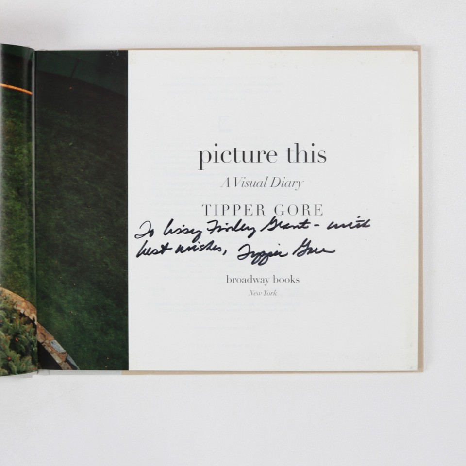 Picture This : A Visual Diary by Tipper Gore, 1996 HCDJ 1st Edition ...