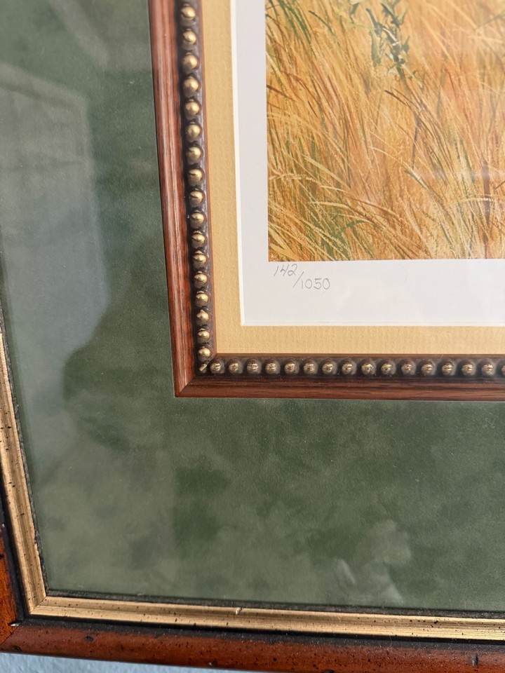 DRIVE THEM TO WASHINGTON by Don Troiani FRAMED w Double Matte and ...