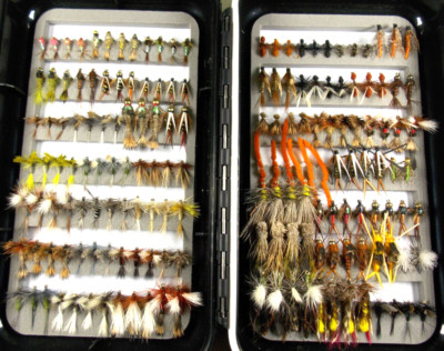 TROUT FLY ASSORTMENT - 168 flies in a new waterproof fly box | eBay