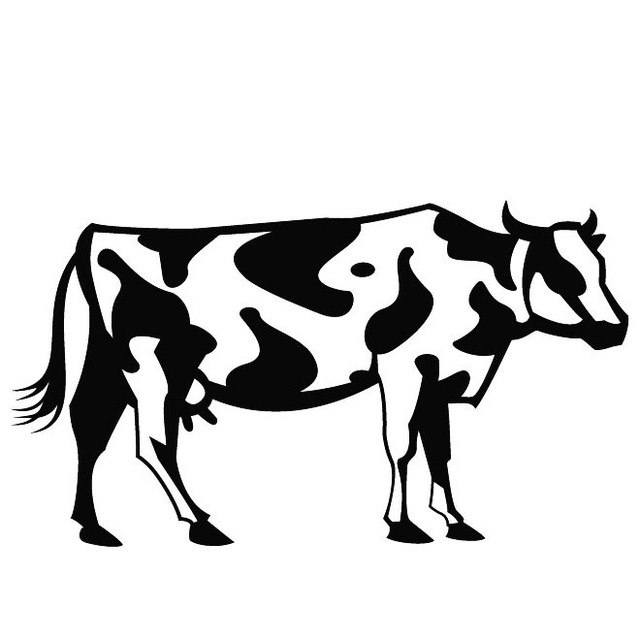 BLACK AND WHITE COW CAR DECAL STICKER for sale online | eBay