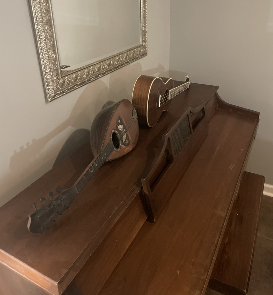 Early Vintage Antique Mandolin. Mother Of Pearl Butterfly. Ships Fast ...