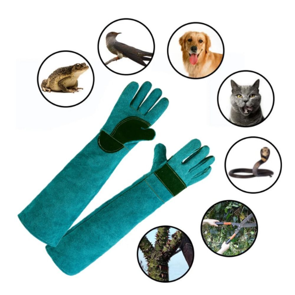 1 pair Wear-resistant Pet Handling Gloves Animal Anti-Bite Gloves Cats ...