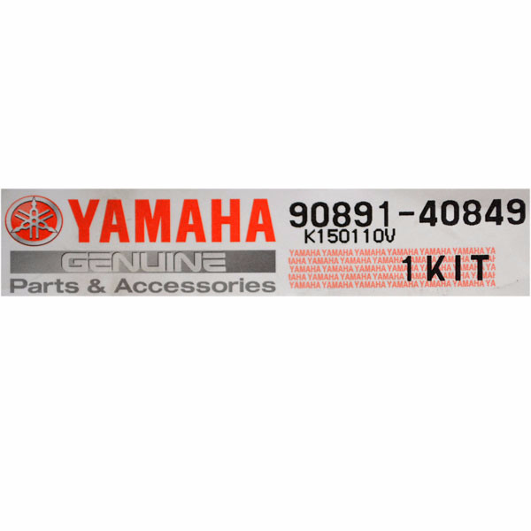 Yamaha Boat 6AW ECU Module 90891-40849 | Black Hydrasports (Kit) | eBay