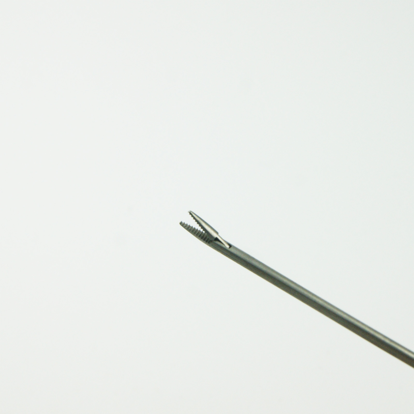 Otoscope middle ear forceps large triticeous head | eBay