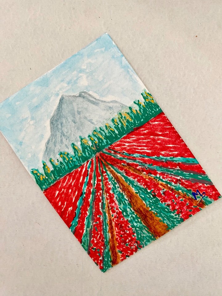 Mount Rainier and Tulips Original ACEO Painting Tulips Field Art ...