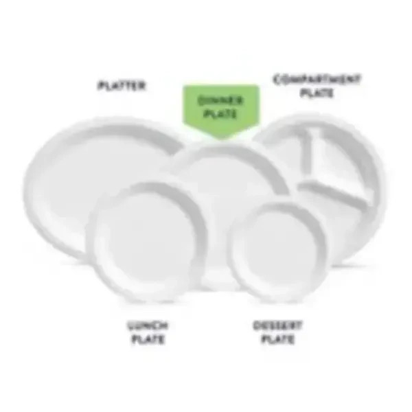 Chinet Classic Dinner Paper Plates, 10-3/8", 165 ct. - FREE SHIPPING | eBay