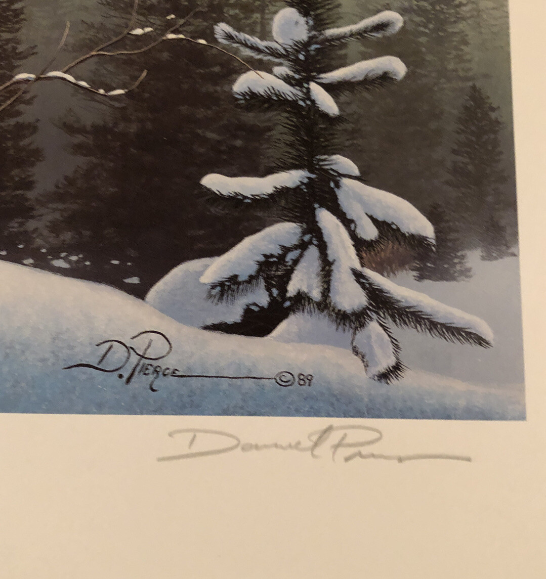 Daniel Renn Pierce "EYES IN THE PINES"-Black Bears-Wildlife-Art ...