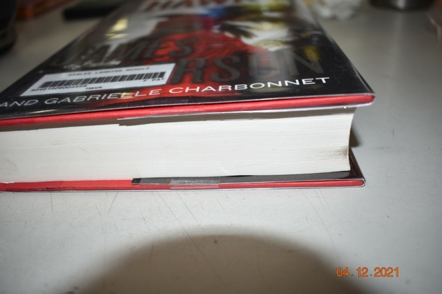 Maximum Ride: Hawk Ser.: Hawk by James Patterson (2020, Hardcover) for ...