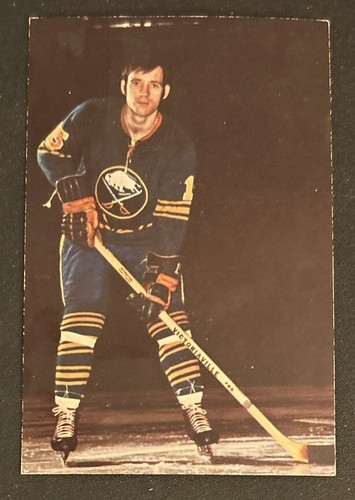 Gerry Meehan Buffalo Sabres #15 Hockey Photo Postcard Post Card 82282-C ...