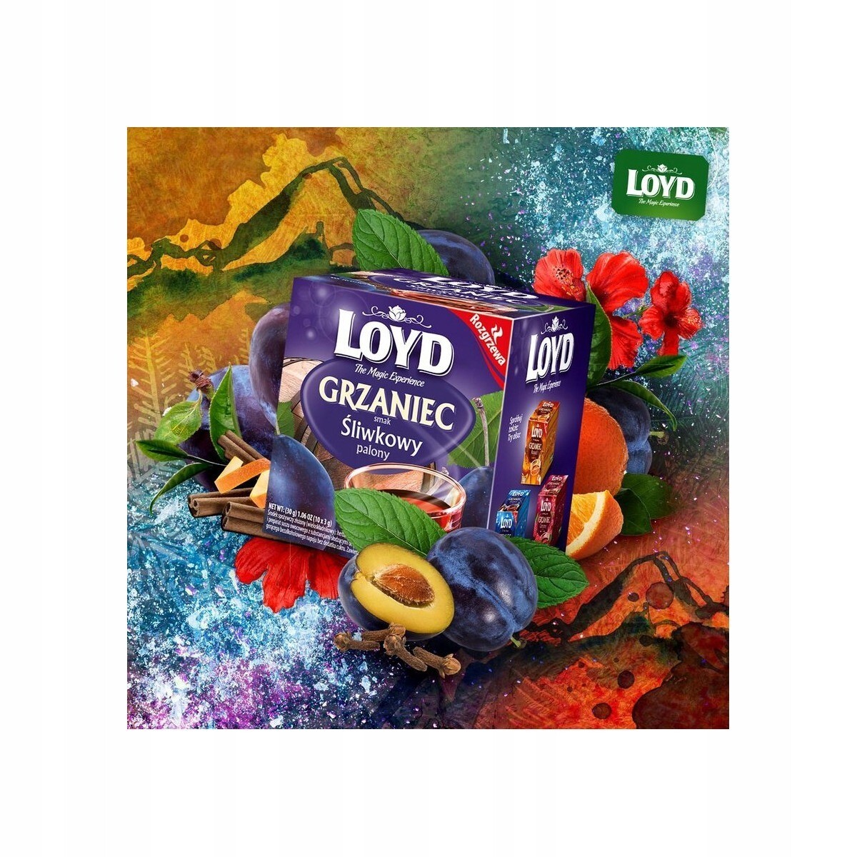 6x LOYD Mulled Plum Flavored Fruit Tea Silk Pyramid Bags 10 Pcs | eBay