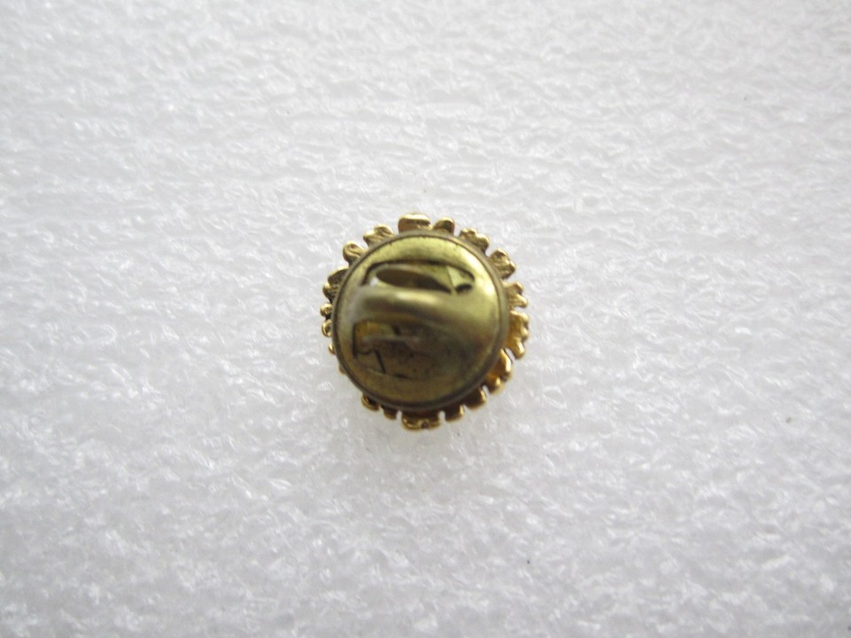 Alpha Lions Animal Lapel Pin (D608) | eBay