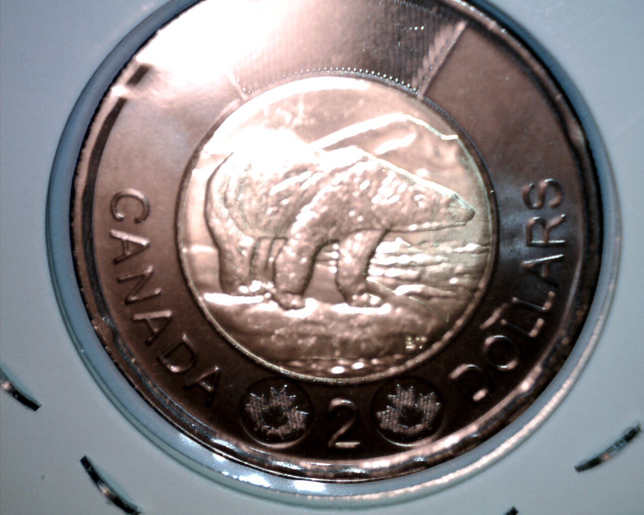 1996-2023-- Canadian Toonie Collection Made for Circulation Collection ...