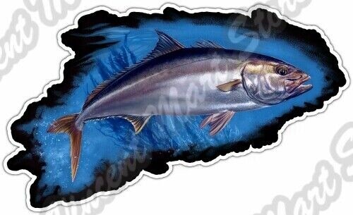 Amberjack Fishing Fish Fisherman Hunting Car Bumper Vinyl Sticker Decal ...