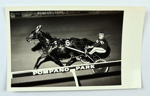 Pompano Park Harness Racing Photo 1984 – C.R. & C.F. O'Mara | eBay