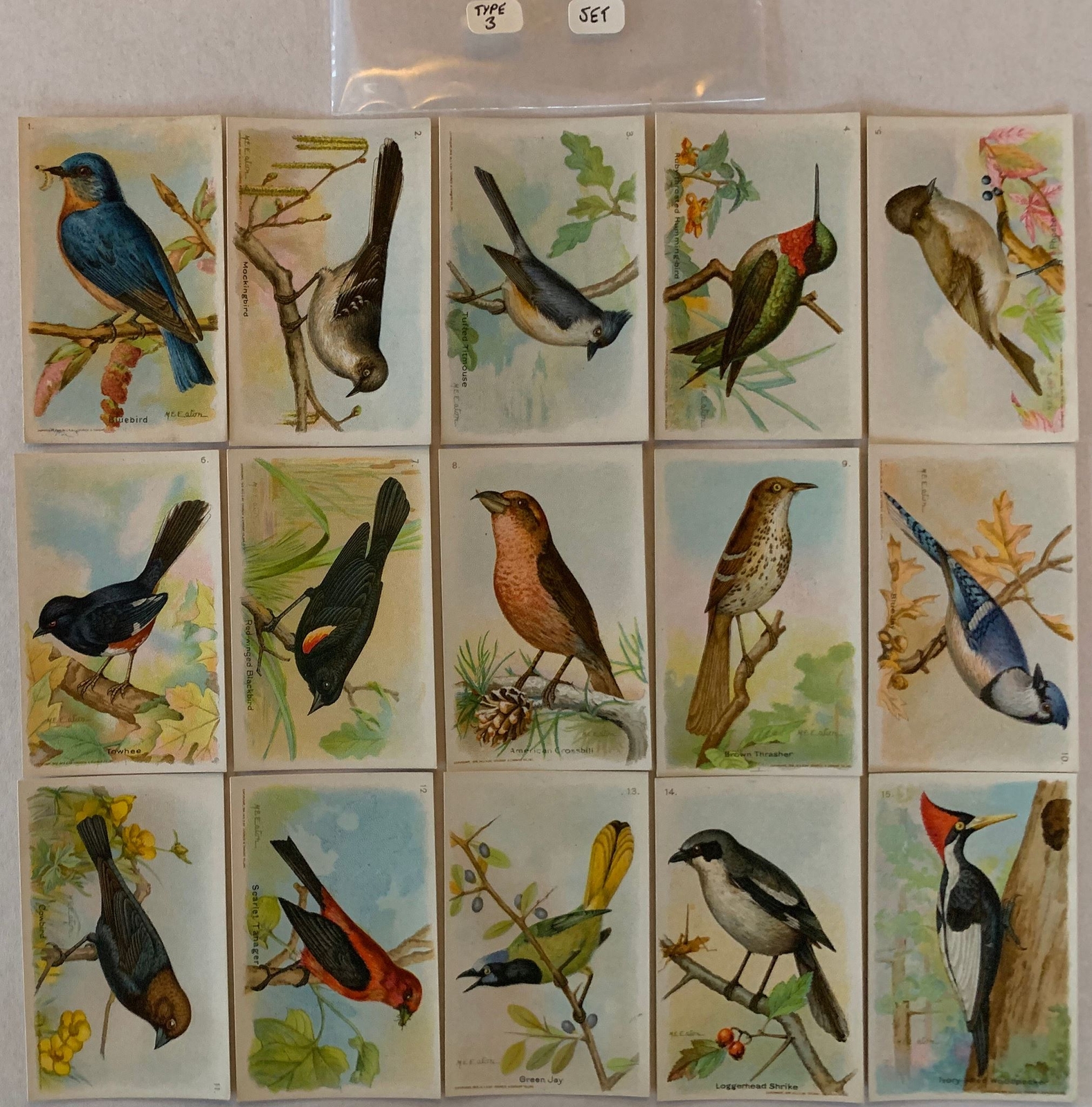 Useful Birds of America 7th 15 Card Set Type 3 Church & Dwight J-9 (3 ...