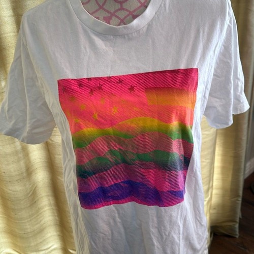 Gap, Abram Finkelstein colab LBGTQ rights tee shirt size medium | eBay