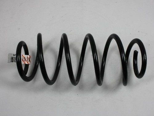 Rr Coil Springs Mopar 4877943AD | eBay