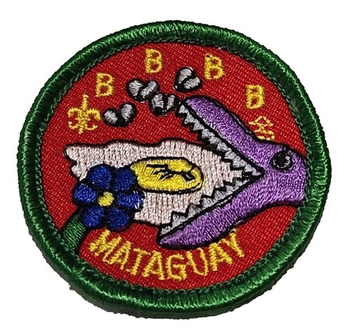 BSA Boy Scouts Of America- Mataguay Spelling Bee Patch - 1908 | eBay