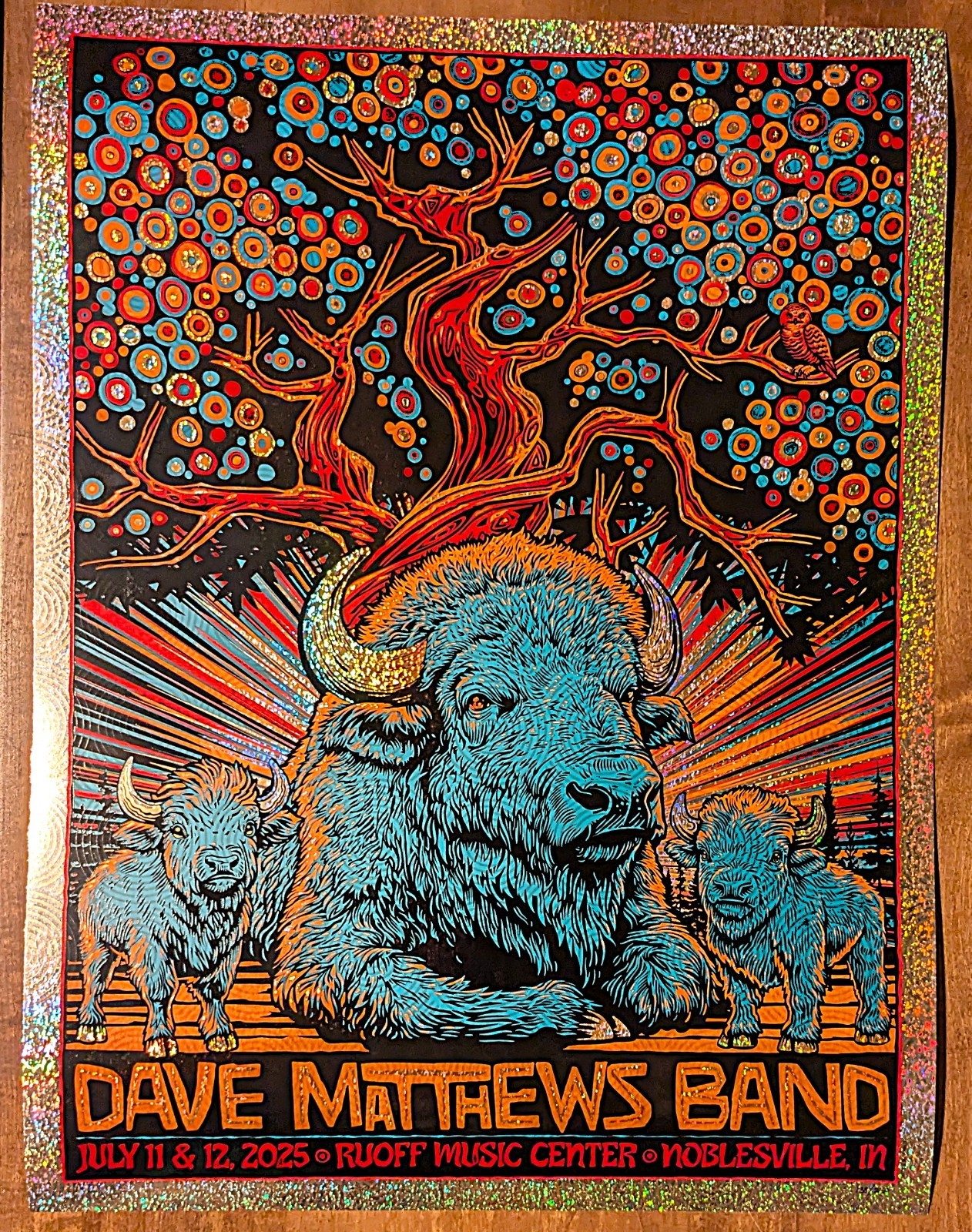DMB Poster 2025 Noblesville IN Ruoff Foil Art Print /250 Slater Baker ...