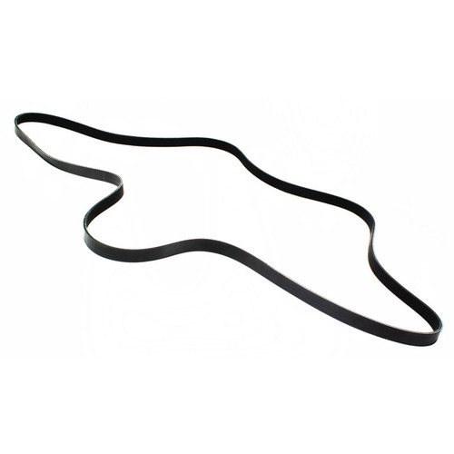 5060935 Dayco Drive Belt for Chevy Suburban Express Van SaVana Yukon F ...