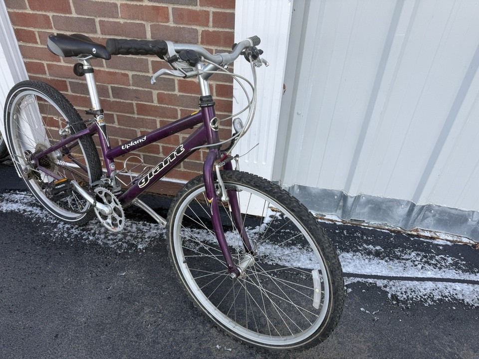 Giant Upland Women's/Unisex Hybrid Bike Purple Steel Frame 26in Wheels ...