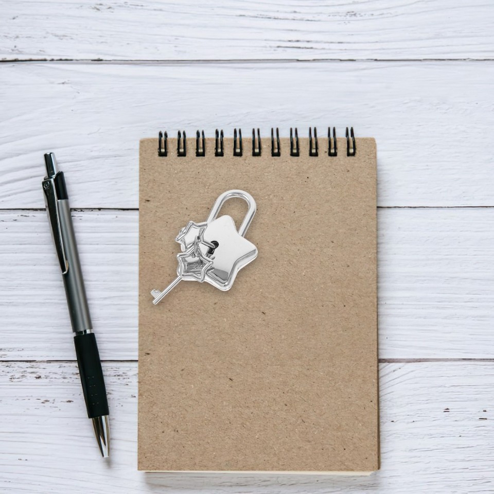 2 Pcs Star Padlock for Women Metal Heart Shaped Small Locks with Keys ...