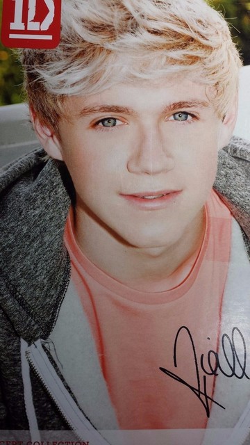 1d One Direction Singing Niall Horan 2012 Hasbro Figure Doll for sale ...