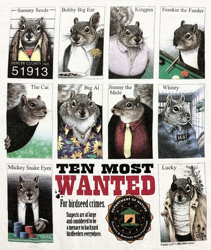 vintage 2000 most wanted - Gem