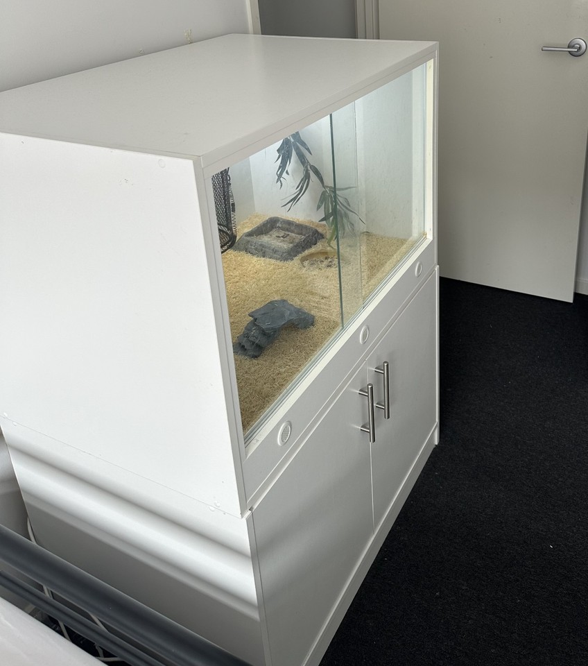 Reptile Enclosure and Cabinet - Lizard/Snake/Frog - White - 90cm x ...
