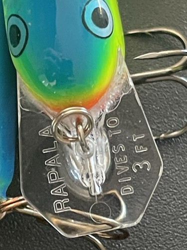 Lot Of 4 Rapala In Parrot Color🦜 Dt Flat 3 Fat Rap Risto Rap 🔥 | eBay